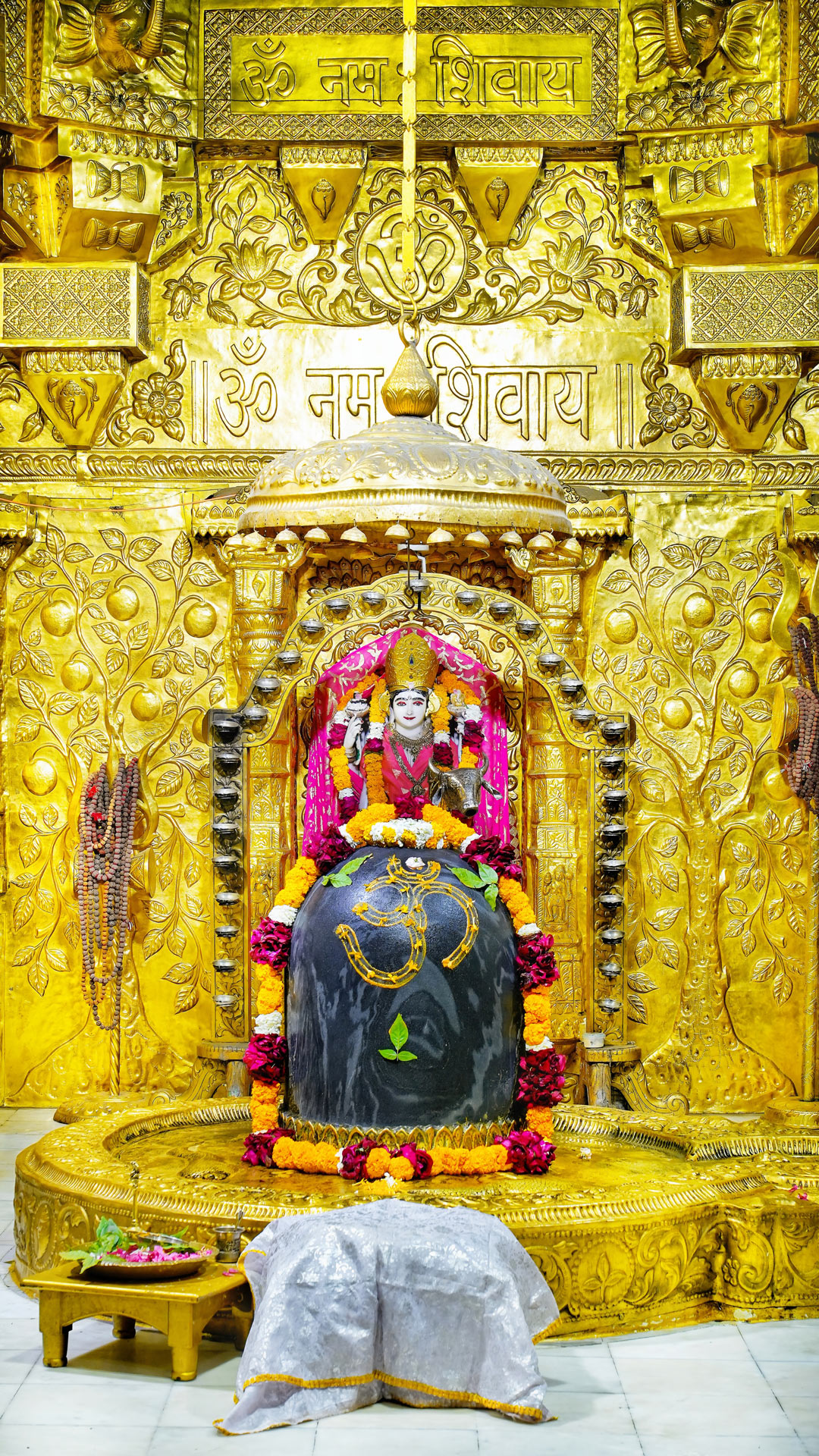 Jay Somnath | Somnath.org